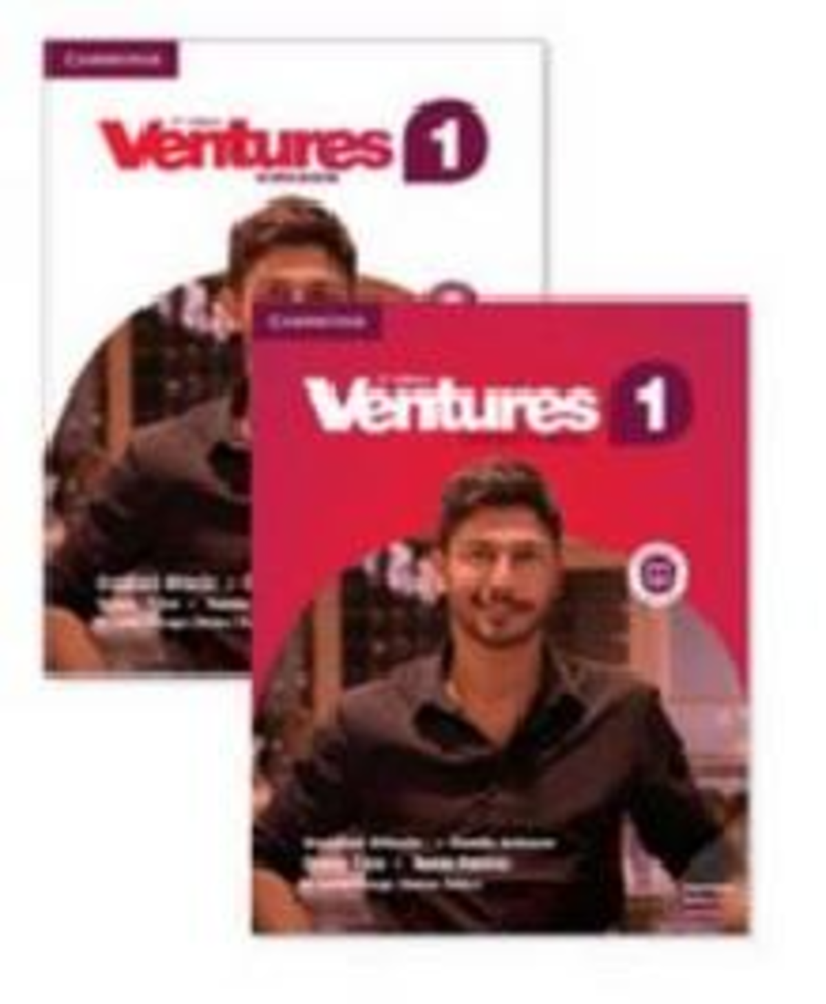 Ventures 1 - Unit 8: Comprehensive Lesson Printables and Vocabulary ...