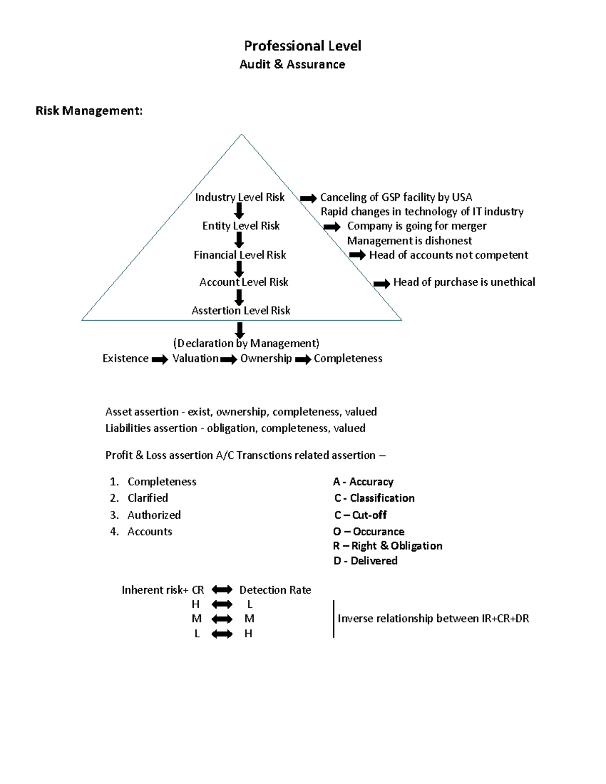 Audit Risk Class Notes - Professional Level Overview - Studocu