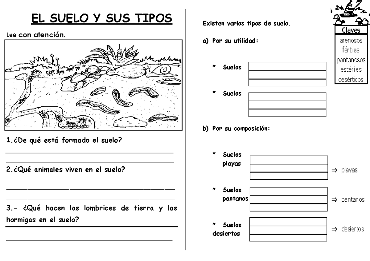 Hojas De Trabajo Sobre El Suelo Para Segundo Grado Ficha De Cuidado Y