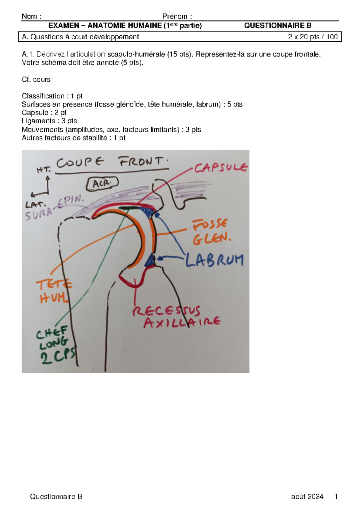 Exam BIMEI 101 - Anatomie Humaine: Questionnaire B (1ère Partie) 2024 ...