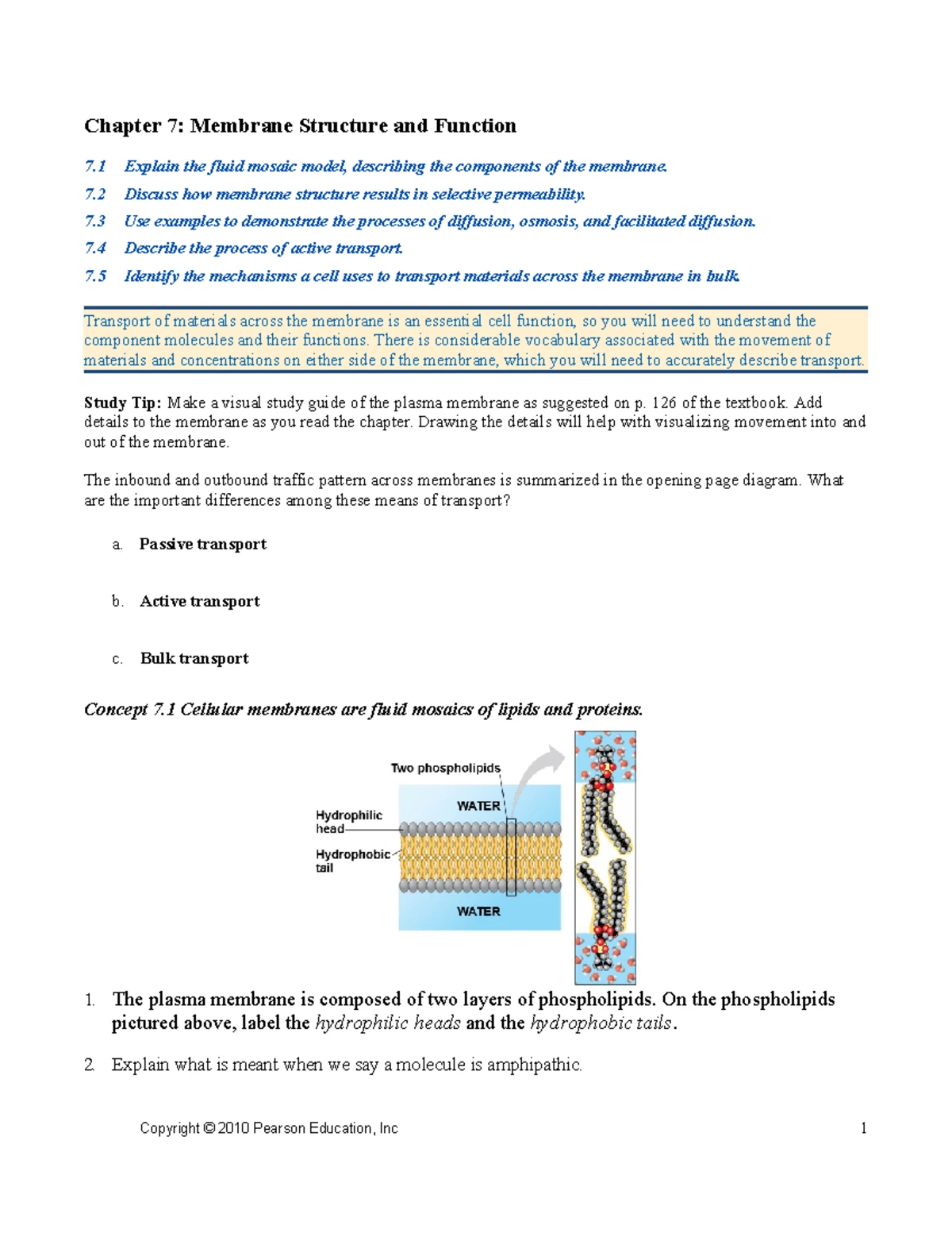 Biol 1406 Chapter 7 Reading Guide Membrane Structure Function Studocu