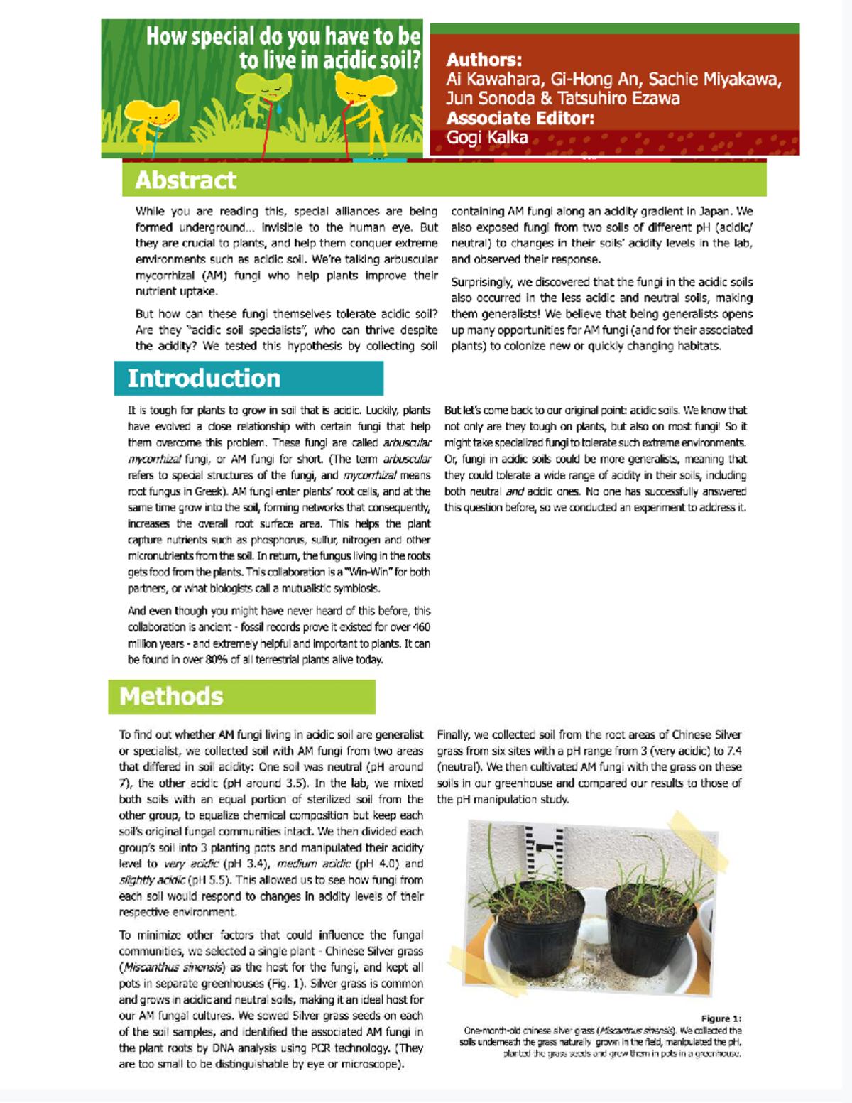 Mock test 3 Informative piece - Google Docs - Your Task: Write an ...