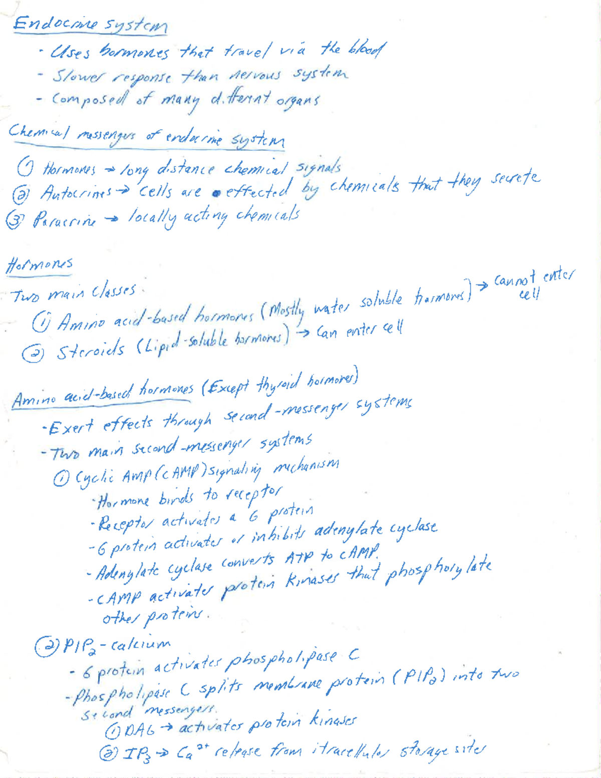 Final Exam Study Guide for Course CODE (231) - Endocrine System Notes ...