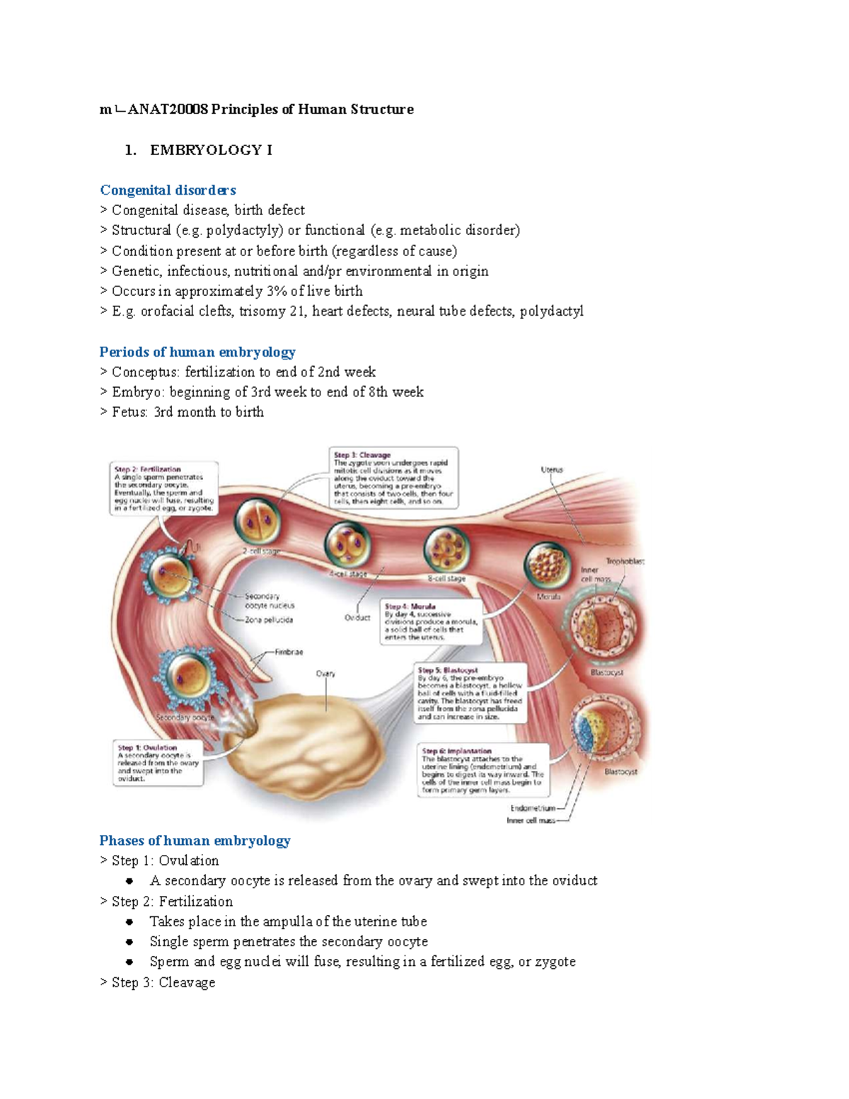 ANAT2000 8 Principles of Human Structure: Embryology Overview - Studocu