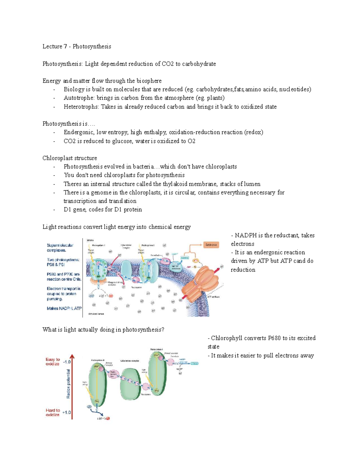 Bio - Cycle 4 - Lecture 7: Photosynthesis Overview and Mechanisms - Studocu