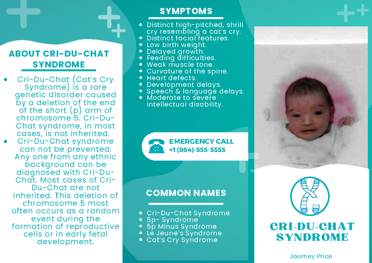 Genetic Disorder Brochure: Understanding Cry Syndrome (5p Minus) - Studocu
