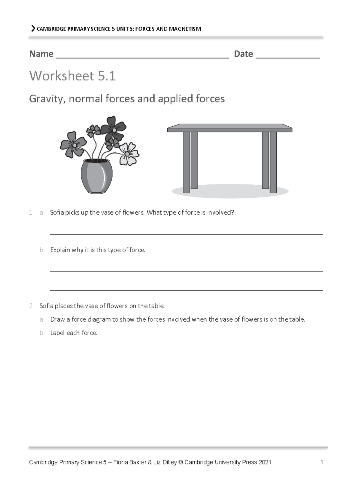CAMBRIDGE PRIMARY SCIENCE 5 UNIT 5: FORCES AND MAGNETISM Worksheets ...