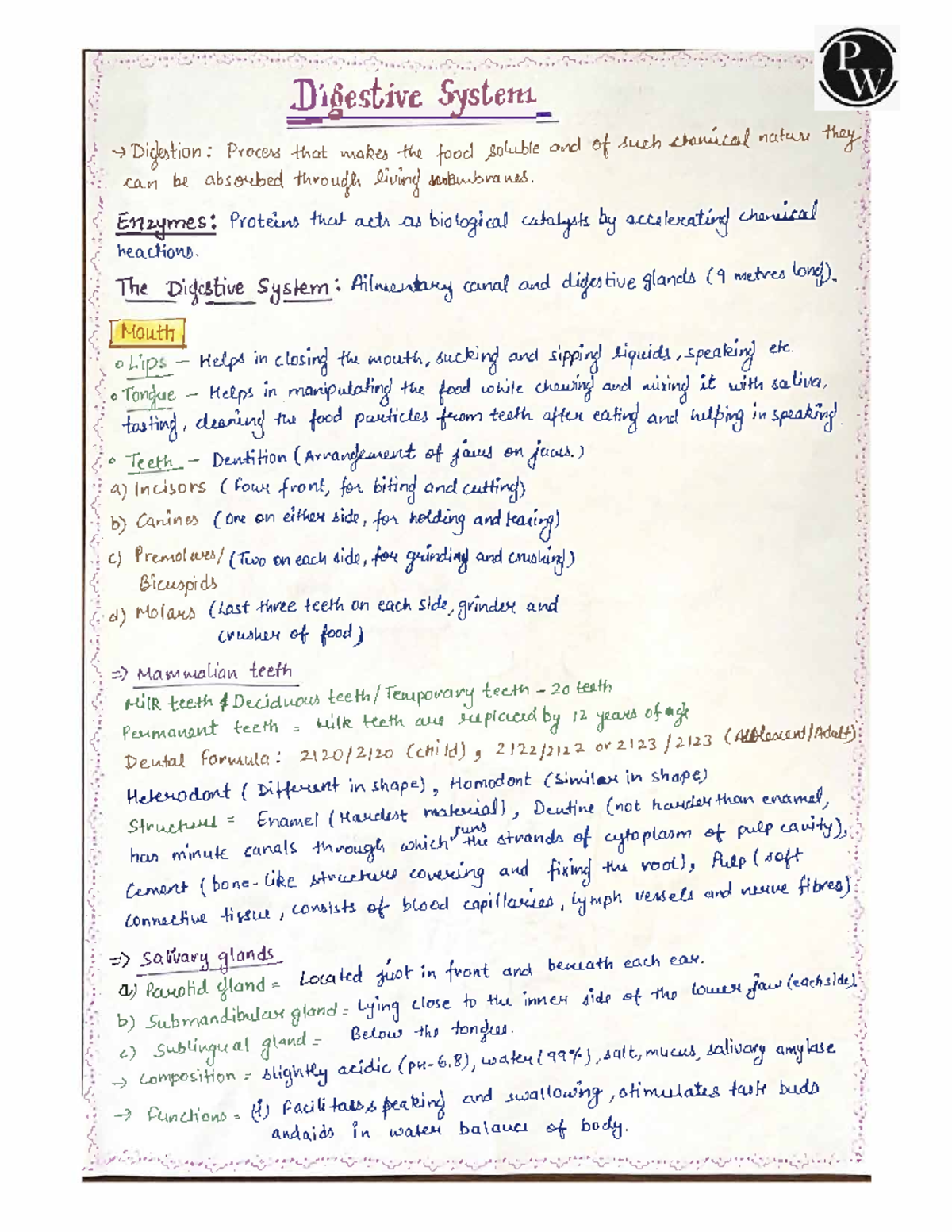 Digestive System - Handwritten Notes (BIO 101) - Studocu