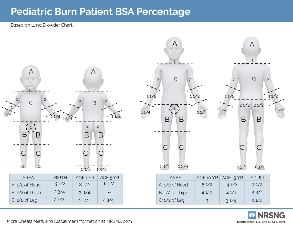 Cranial Nerve Assessment: Neurovascular Evaluation Techniques - Studocu