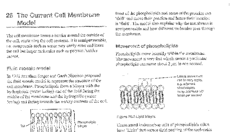 Surfing NSW Biology 0: Cell Membrane Study Questions - Studocu