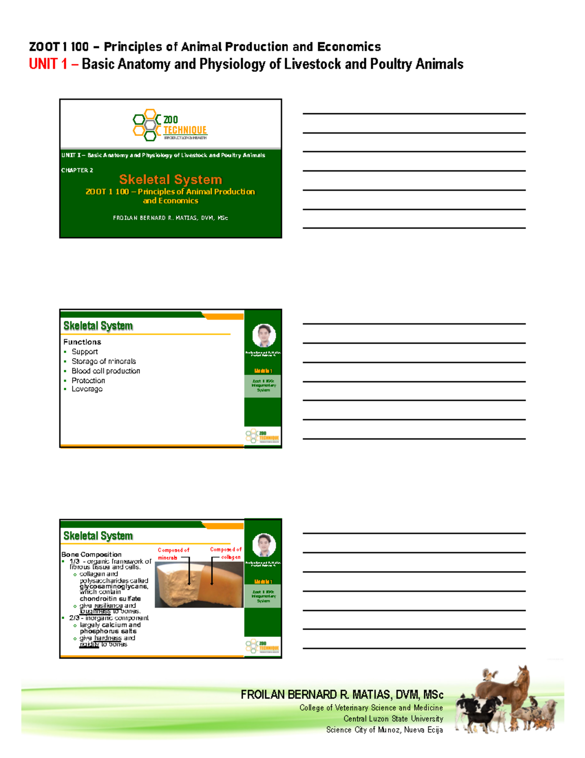Unit I - Chapter 2 - Skeletal System - UNIT 1 – Basic Anatomy and ...