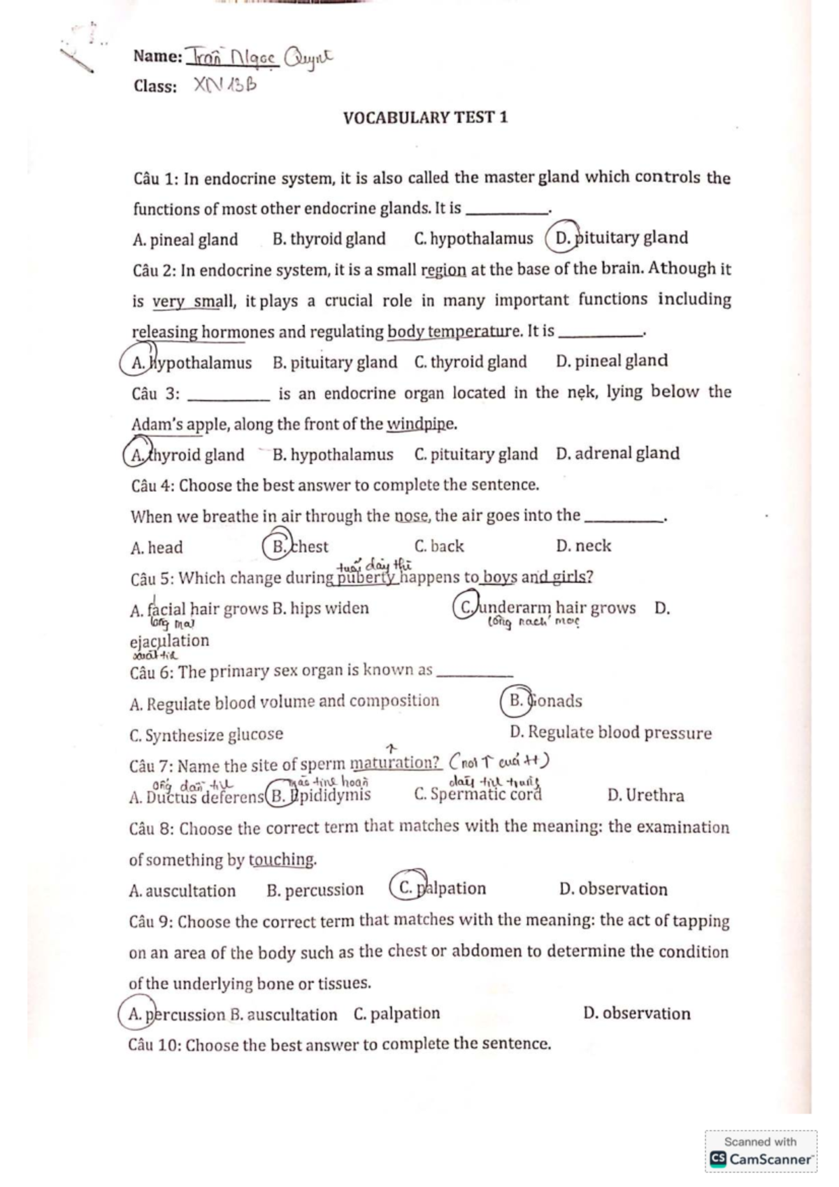 XN13B Vocabulary Test 1 & 2: Endocrine System & Digestion - Studocu