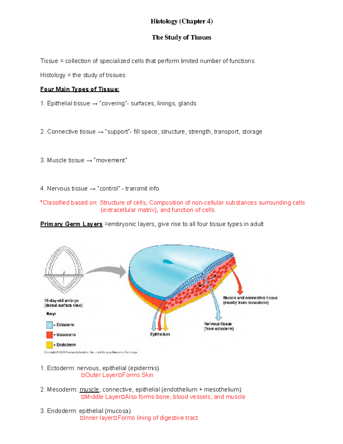 Histology (Chapter 4): Overview of Tissue Types and Functions - Studocu