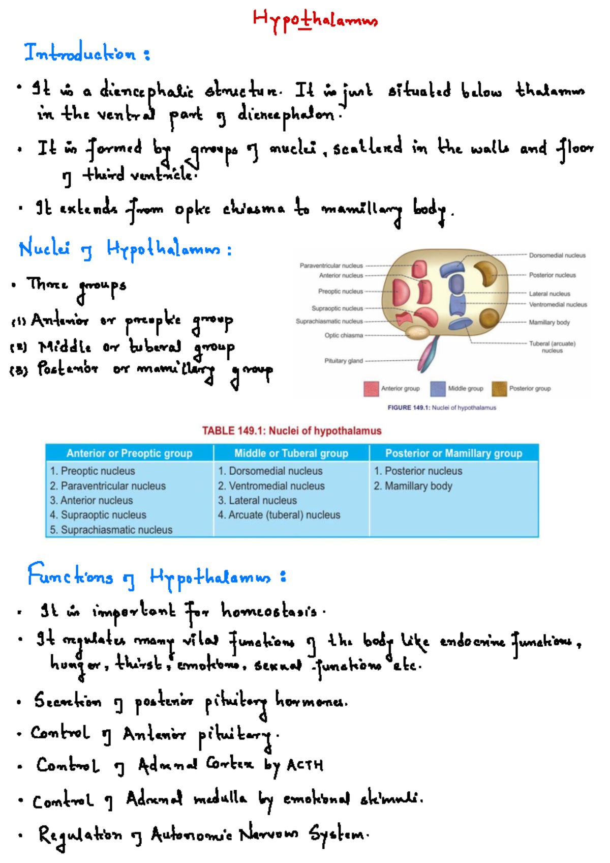Hypothalamus Overview: Functions, Mechanisms, and Disorders - Studocu