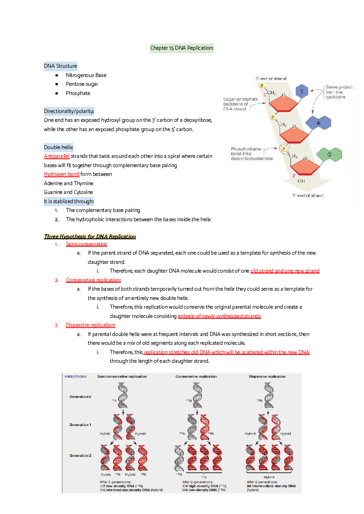 Chapter 15: DNA Replication and Structure Overview - Studocu