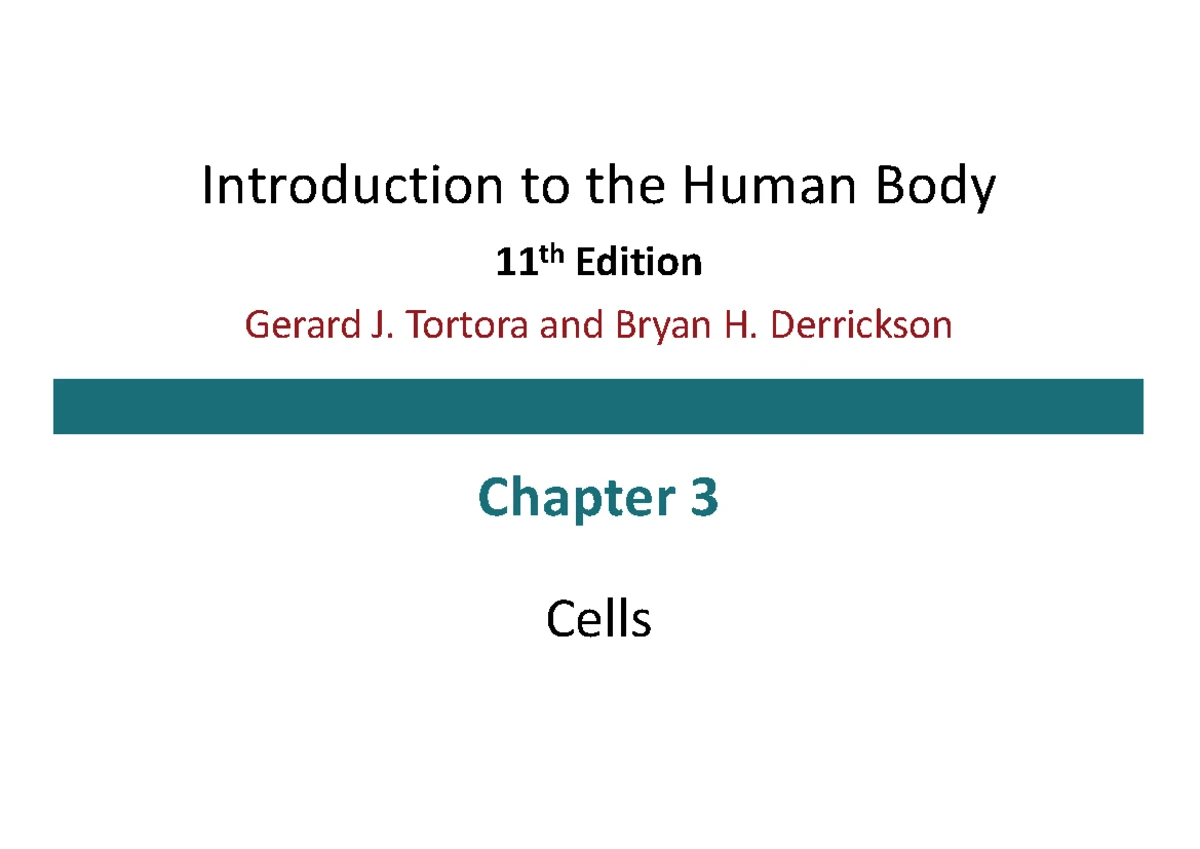 Module 1 Anatomy and Physiology: Overview of Body Structure and Joints ...