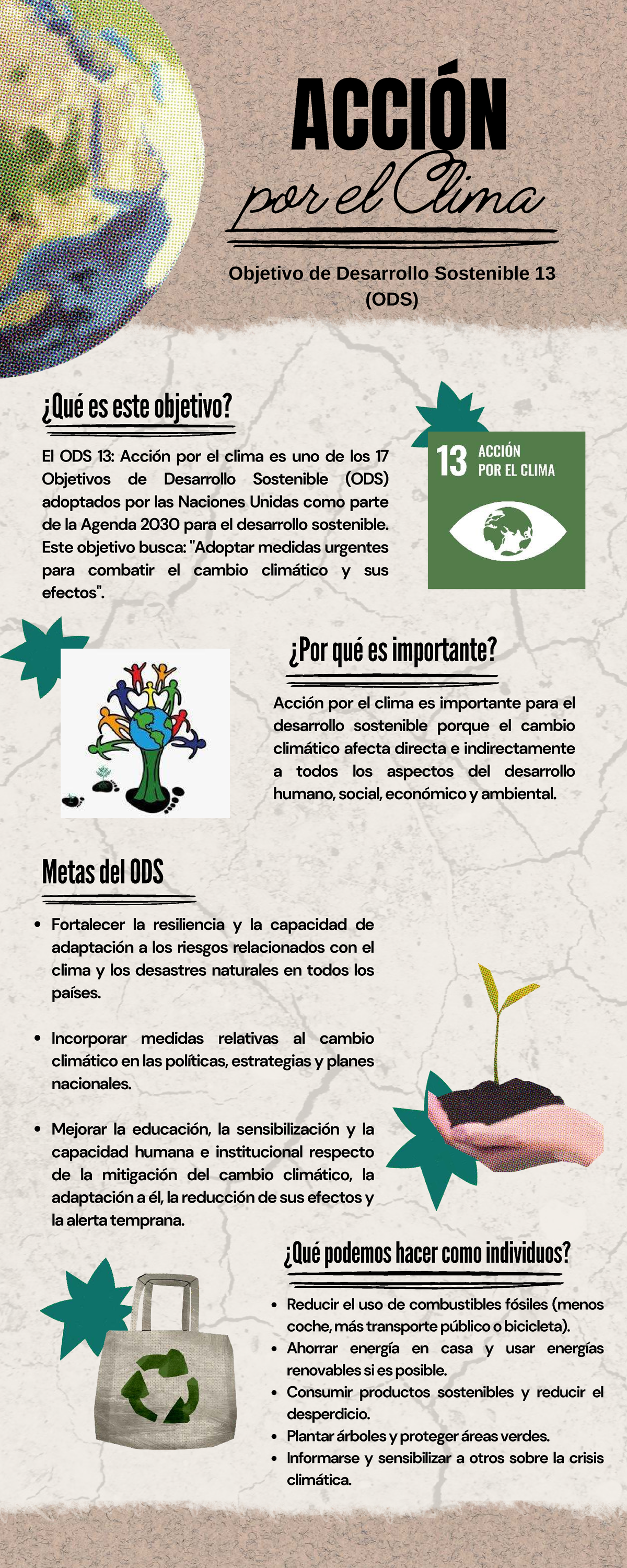 ODS 13: Acción por el Clima y su Importancia para el Desarrollo ...