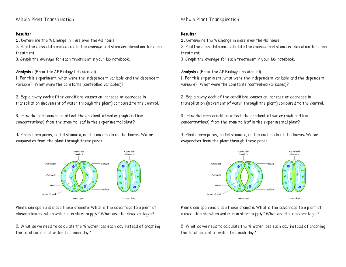 Whole Plant Transpiration questions - Whole Plant Transpiration Results ...