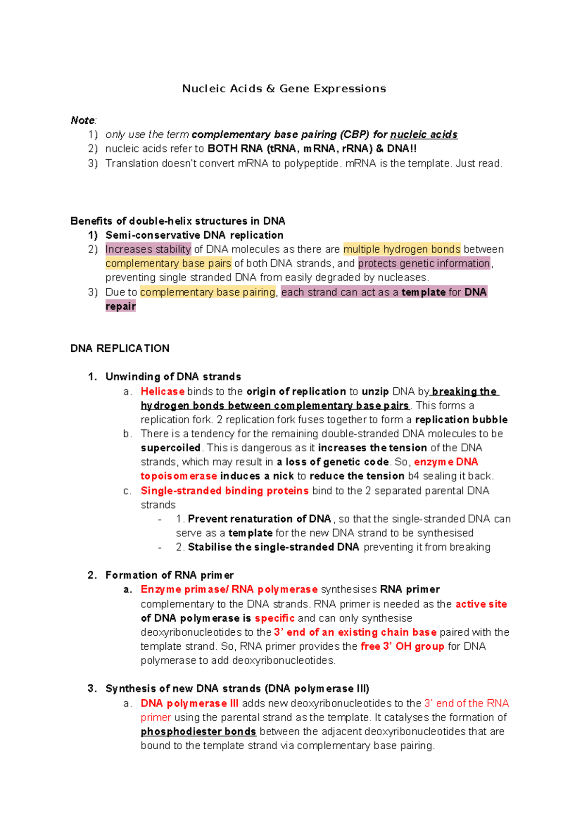 H2 Biology Notes: Nucleic Acids, Gene Expression & Enzyme Function ...
