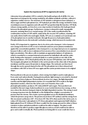 Importance of cycles - essay - Cycles are important in biology as they ...