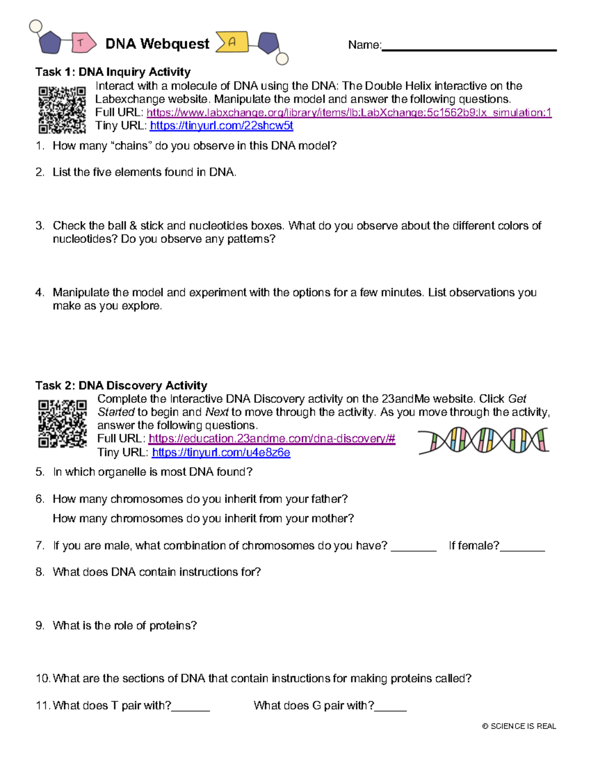 DNA Webquest Handout: Inquiry, Discovery, and Structure Activities ...