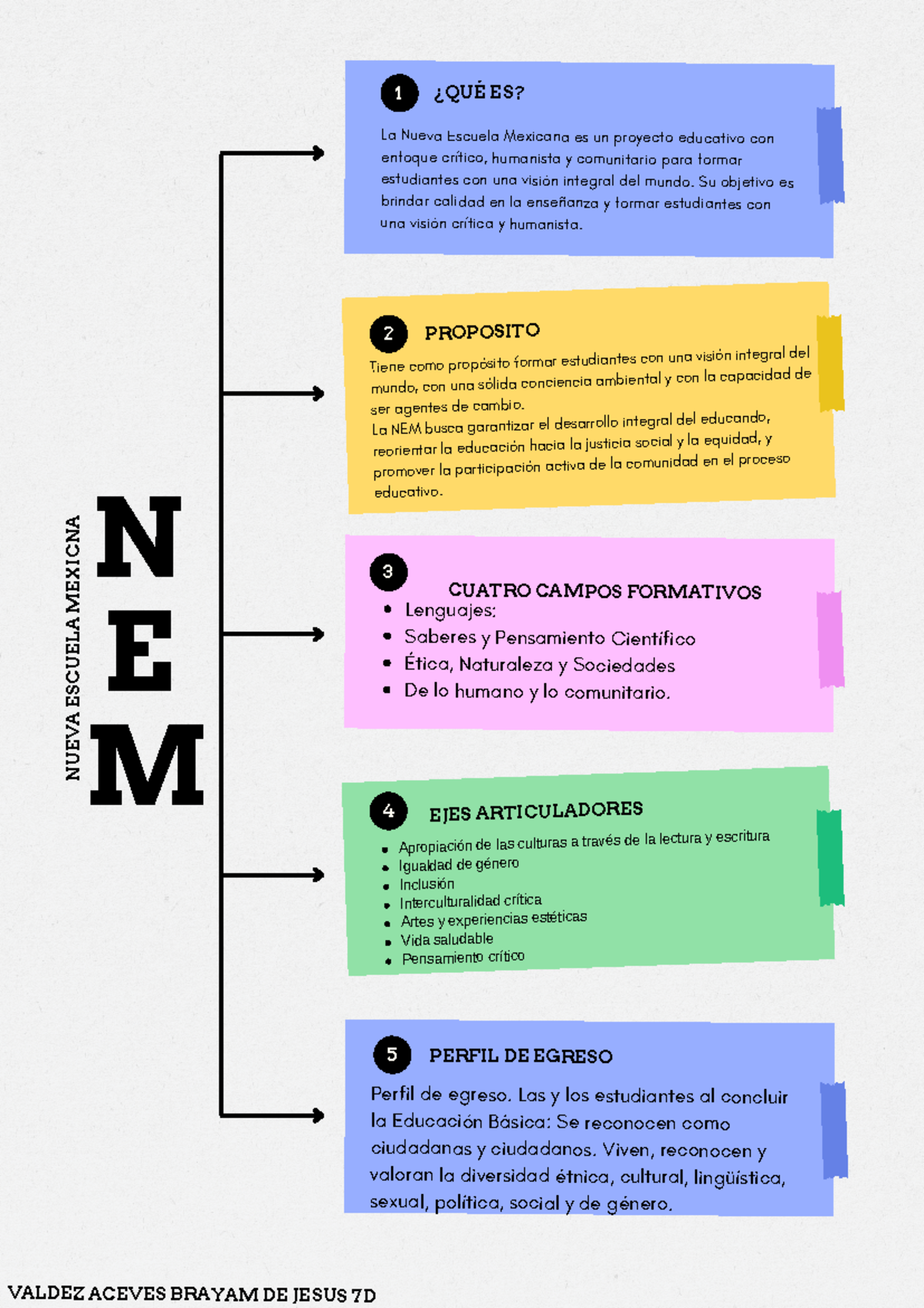 7. Actividad organizador gráfico evaluación formativa - 1 2 3 4 5 ...