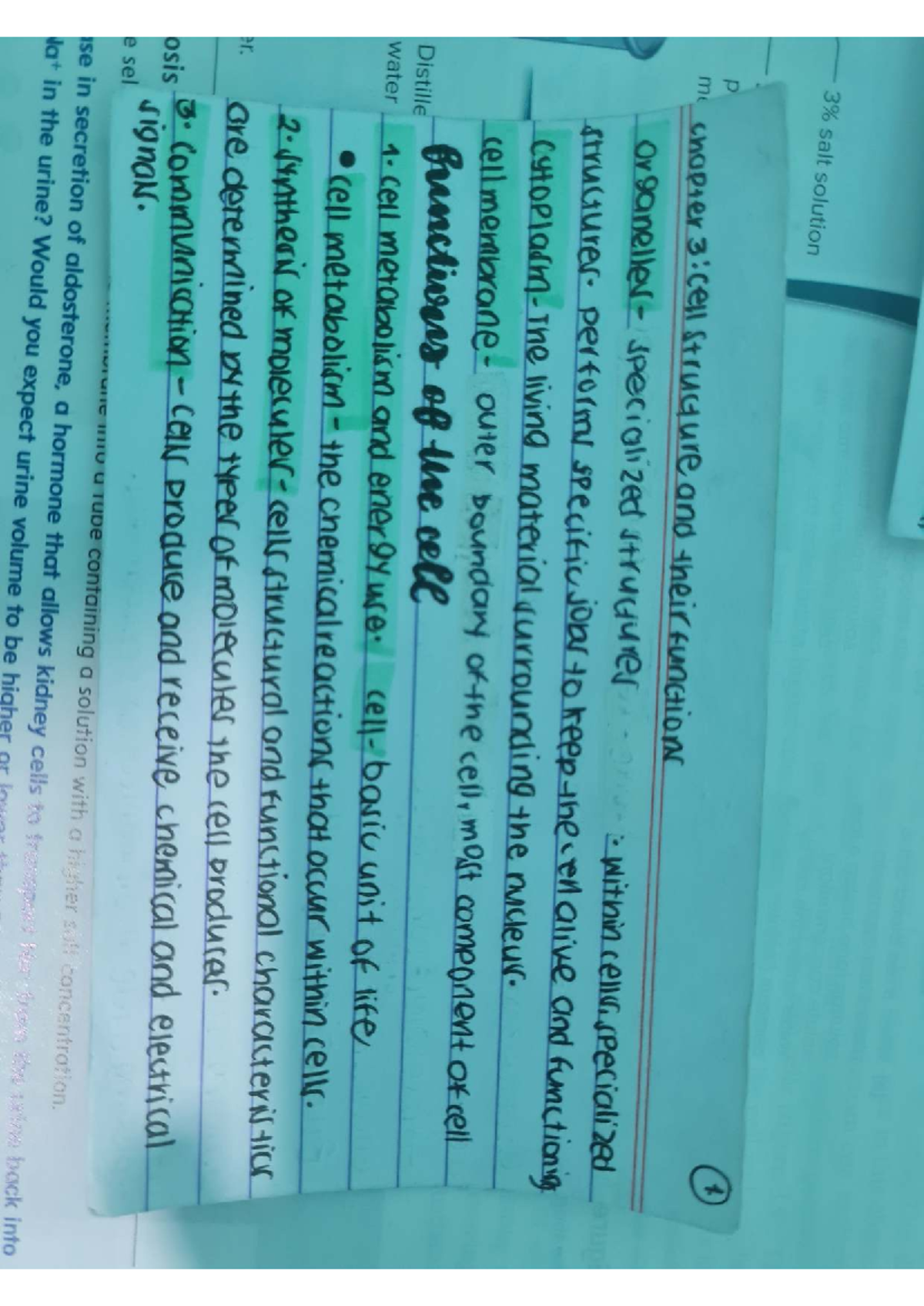 BIO101 Chapter 3: Cell Structure & Functions of Organelles - Studocu