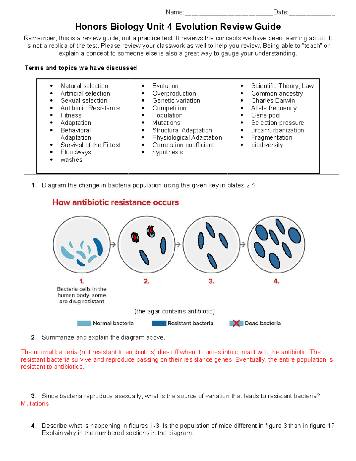 KEY Unit 4 Review Guide Honors Bio 2025 - Honors Biology Unit 4 ...