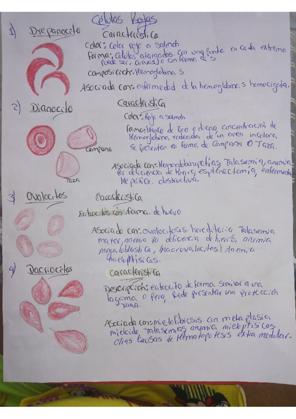 Características de Células Rojas - Hematología Clínica (FAR 101) - Studocu