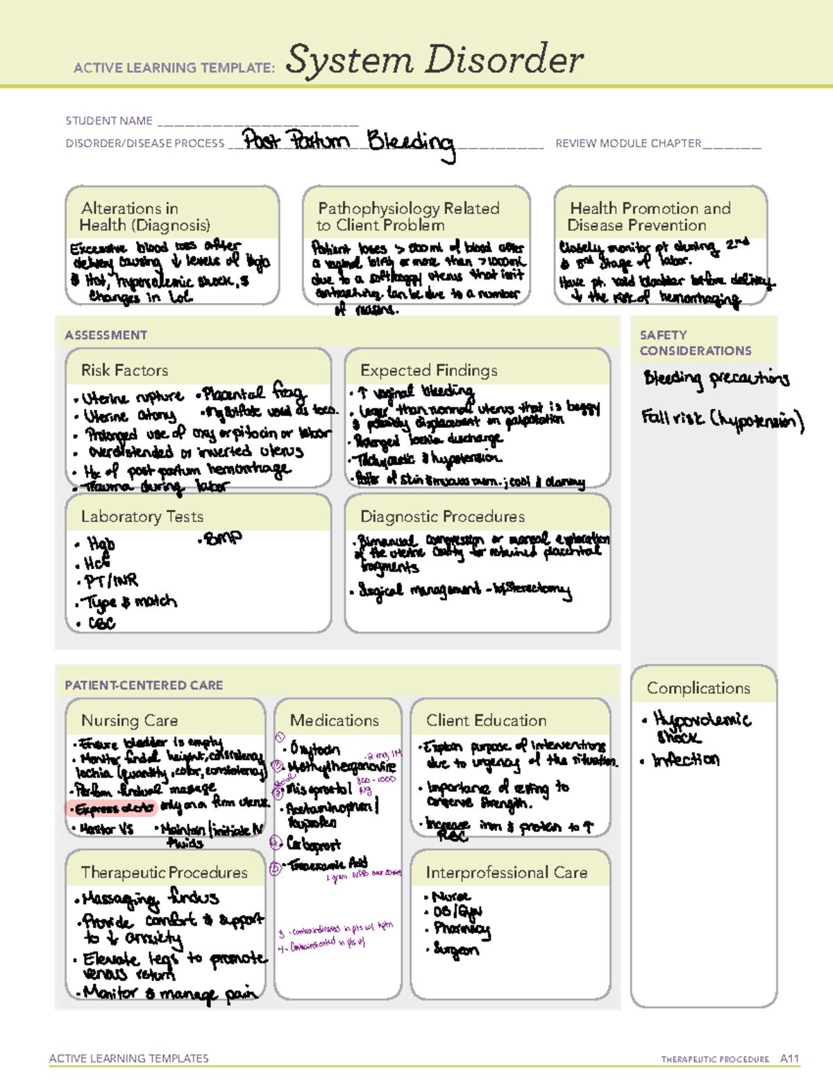 System Disorder Post Partum Bleeding ATI - ACTIVE LEARNING TEMPLATES ...