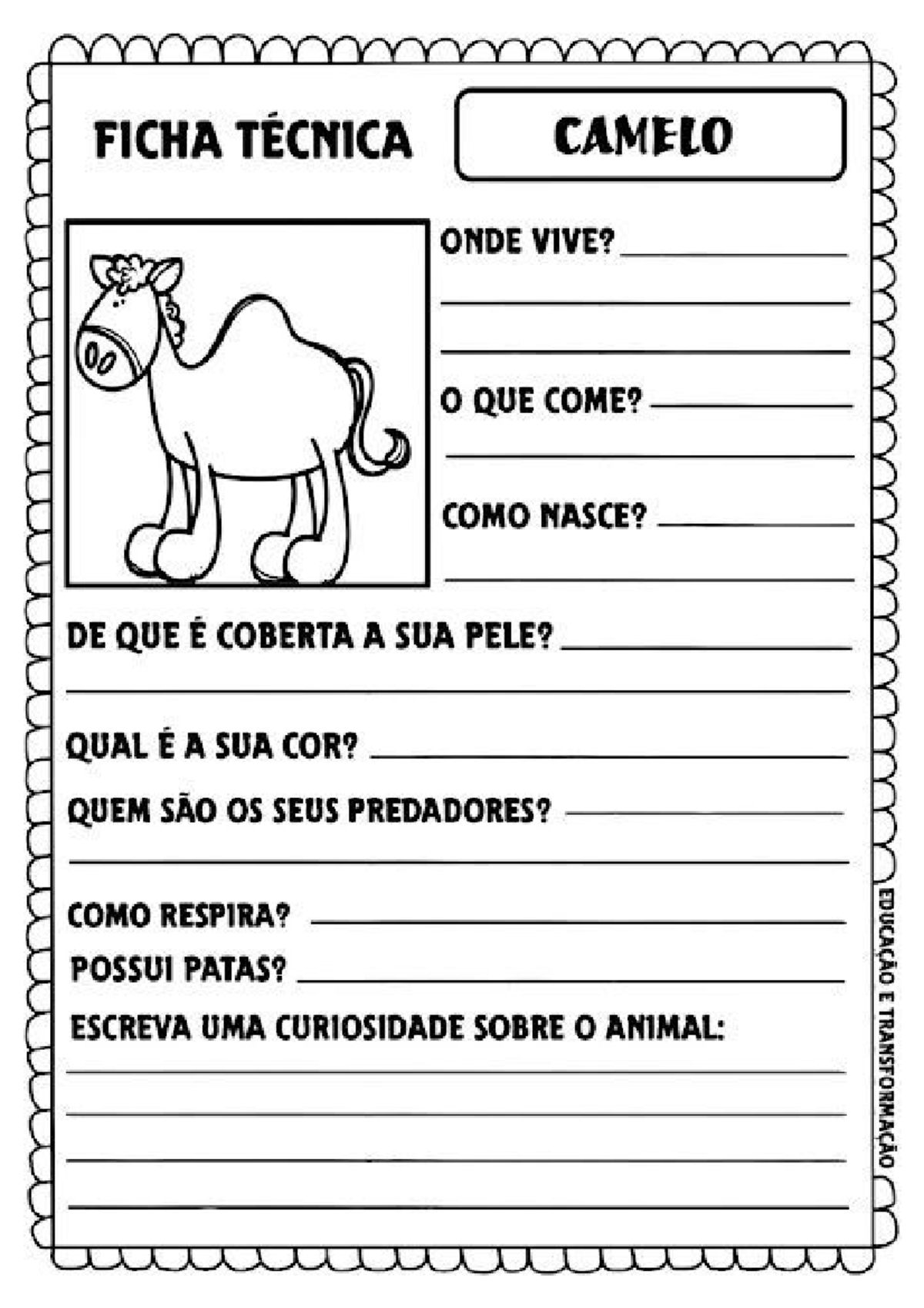 Fichas Técnicas de Animais: Camelo, Canguru, Flamingo, Giraffa, Leão ...
