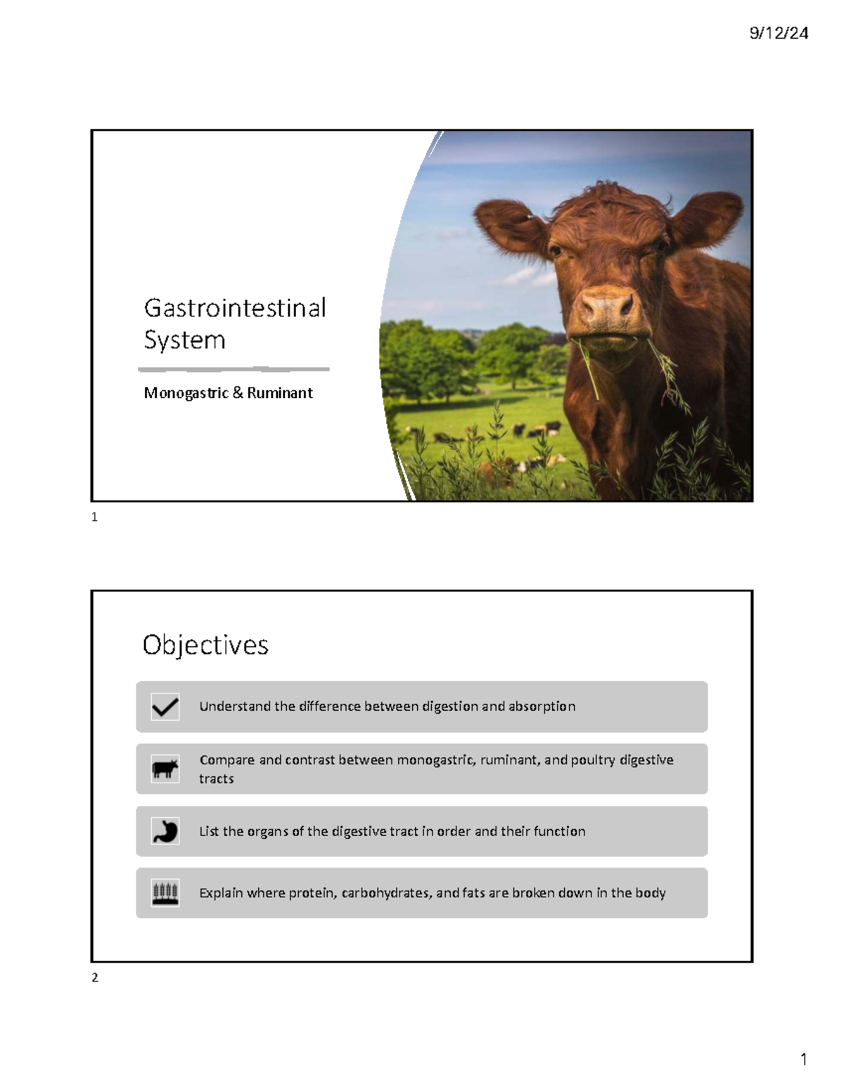 Digestive System Overview: Monogastric vs Ruminant Animals - Studocu