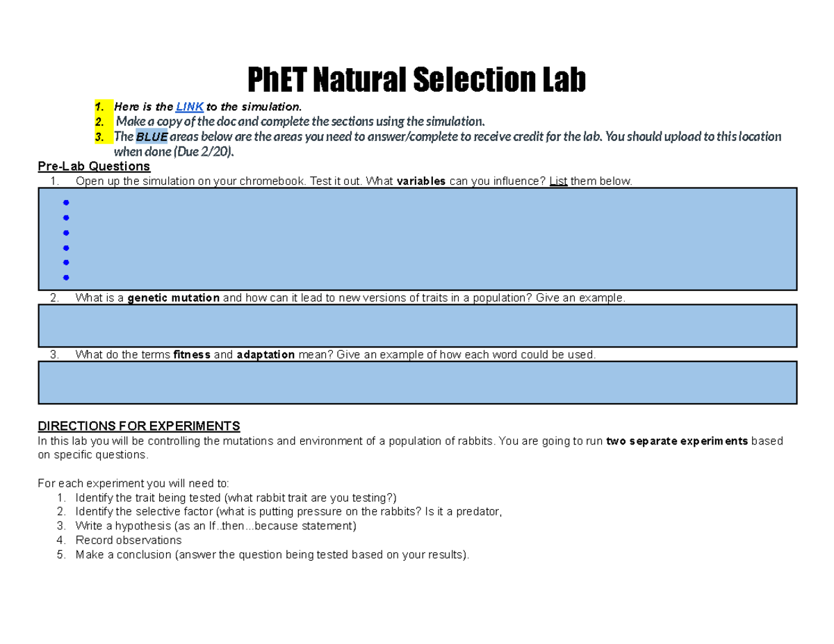 PhET Natural Selection Lab: Investigating Rabbit Traits & Survival ...