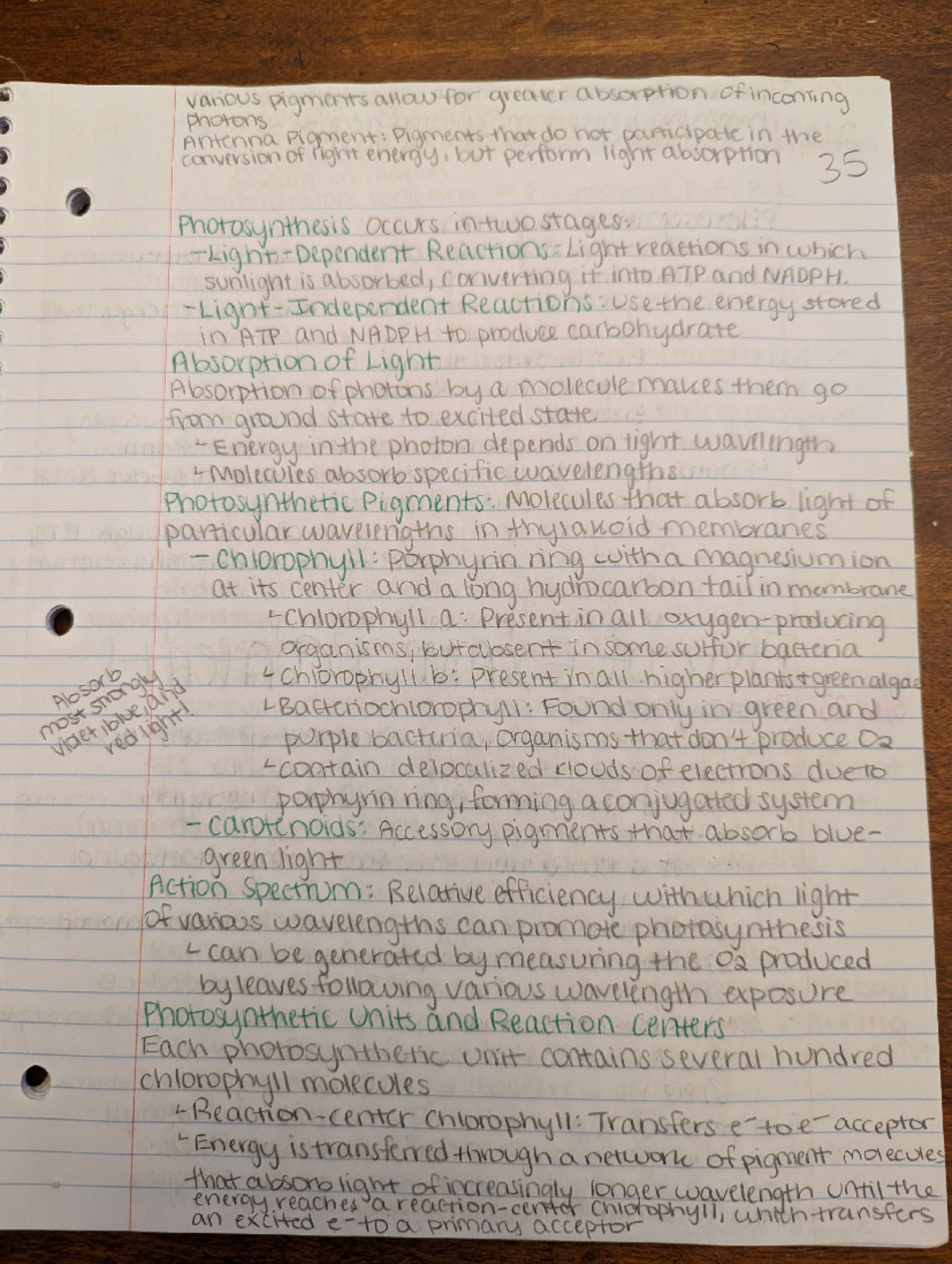 Cell Biology Lecture Notes: Key Concepts and Insights - Studocu