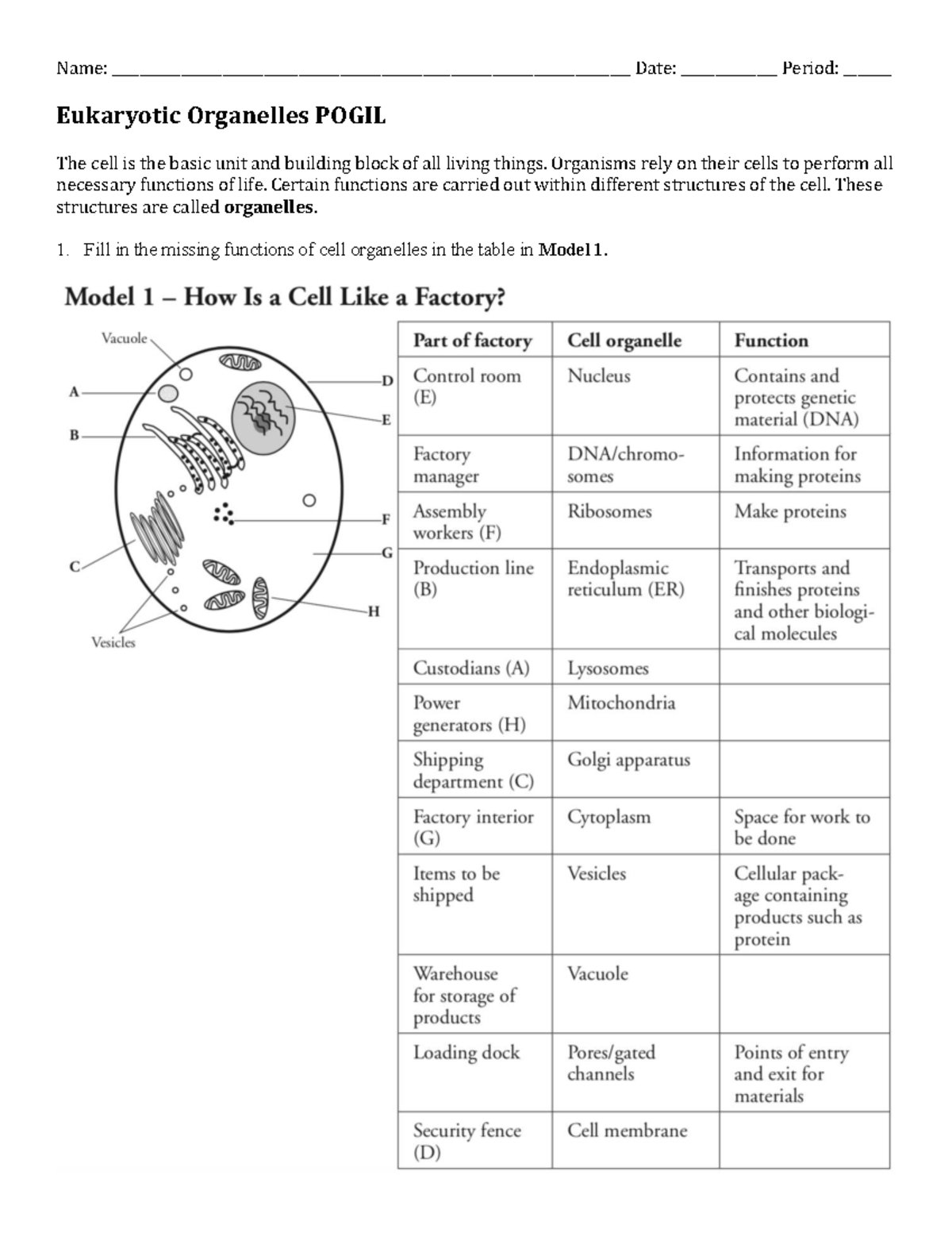 Cell POGIL - Eukaryotic Organelles Worksheet (Bio 101) - Studocu