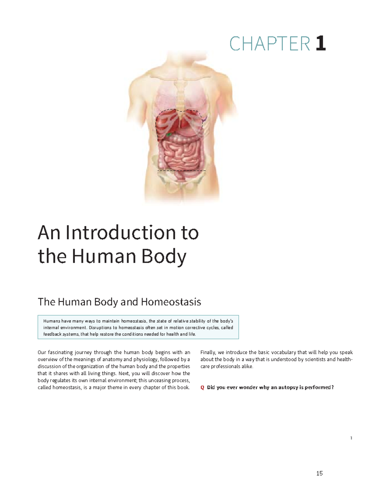 C01: Chapter 1 - An Introduction to the Human Body and Homeostasis ...