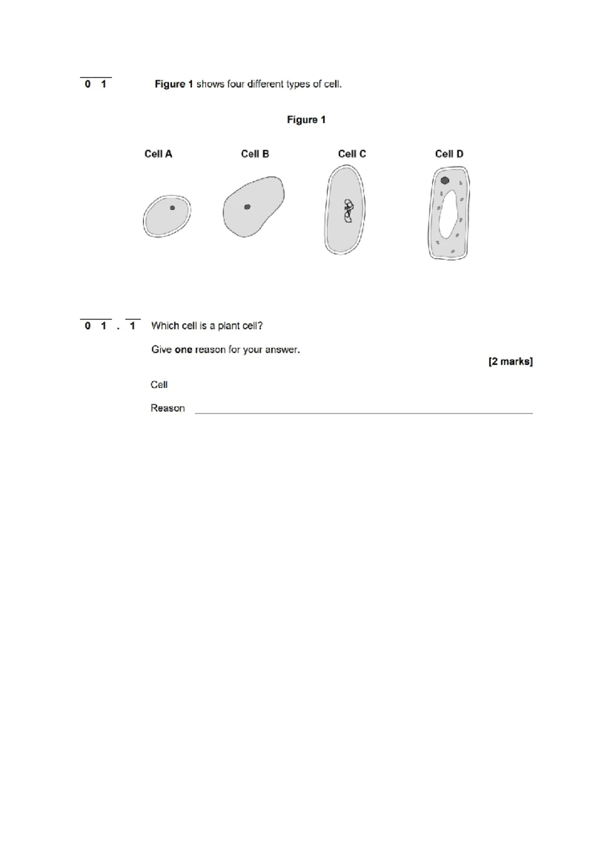 AQA GCSE Combined Science Biology - Cell Biology Notes - Studocu