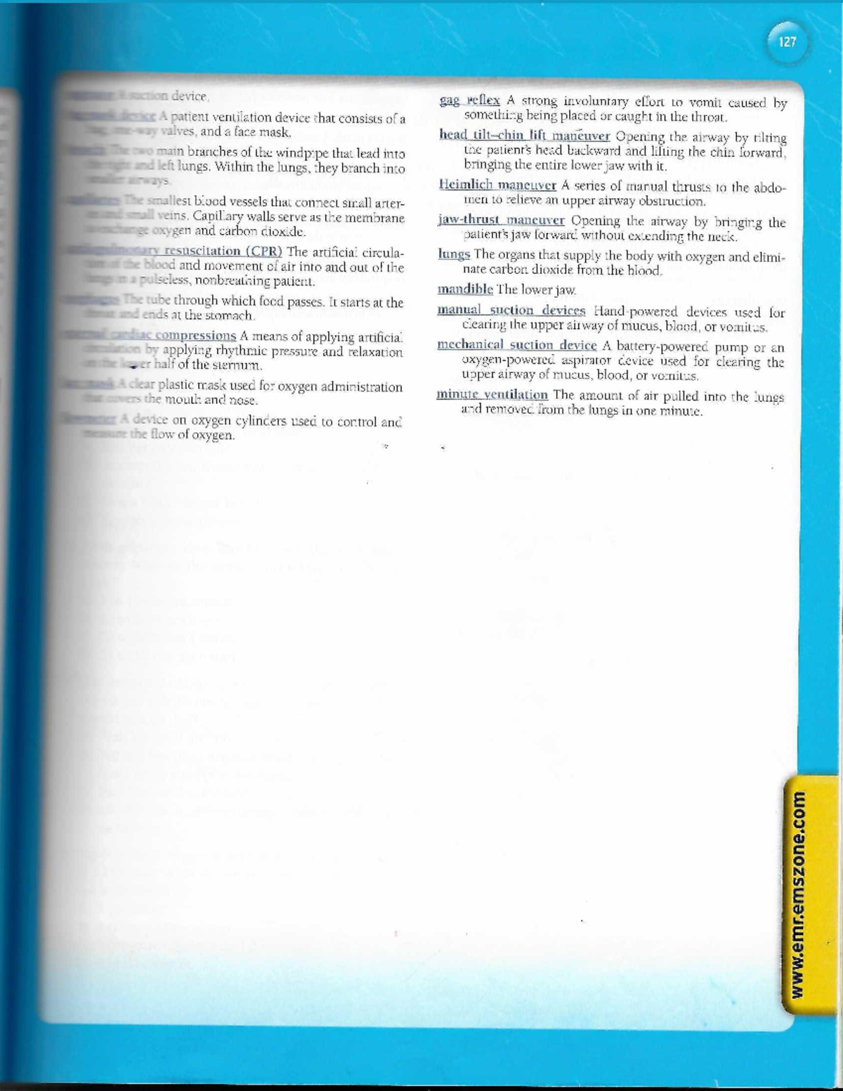 Human+body-+key+terms+-1 - Studocu