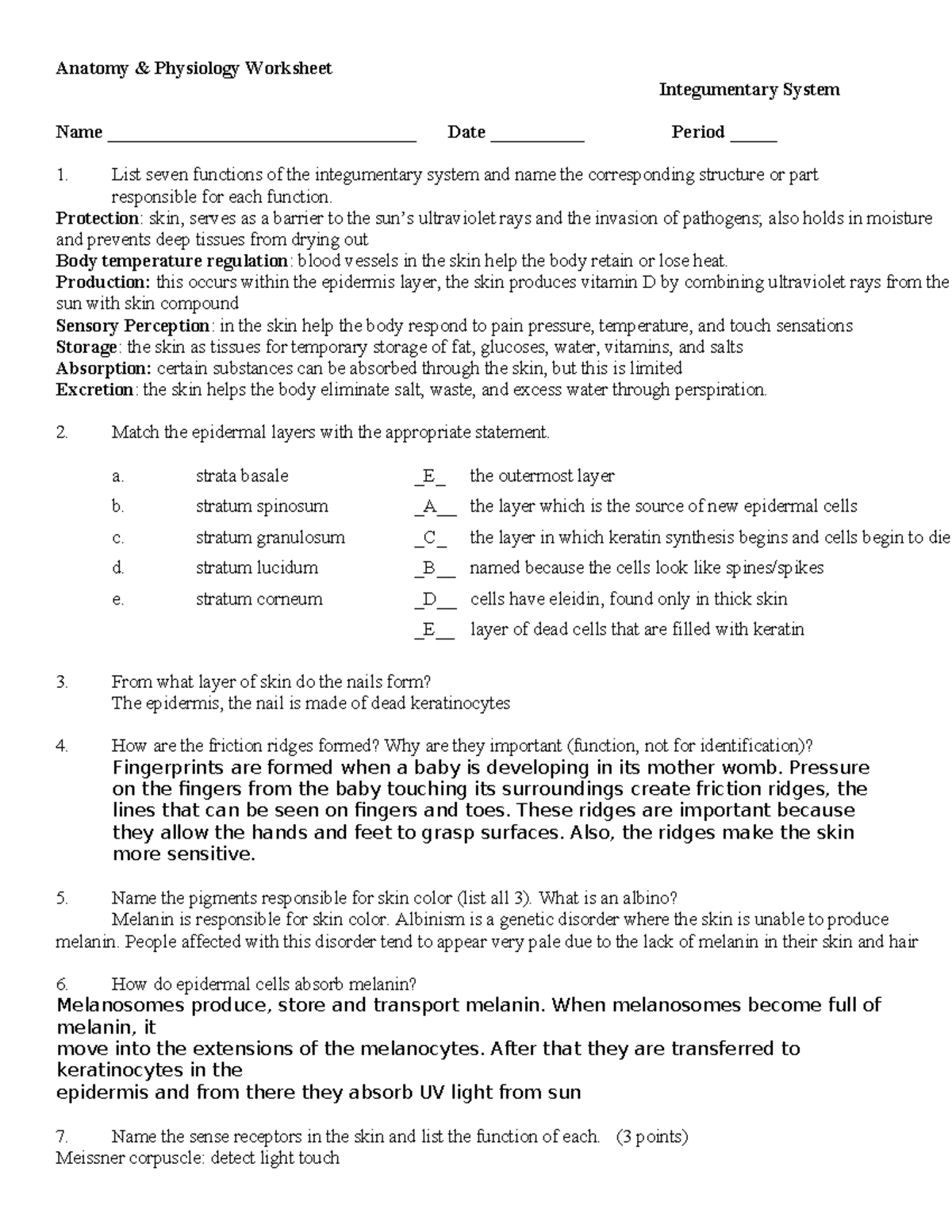 Integumentary Worksheet Complete - Anatomy & Physiology Worksheet ...