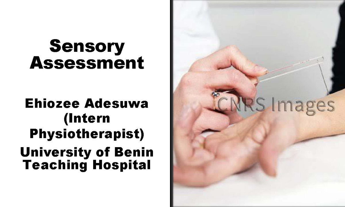 Sensory Assessment Guide for Physiotherapy Interns (PHYS 101) - Studocu