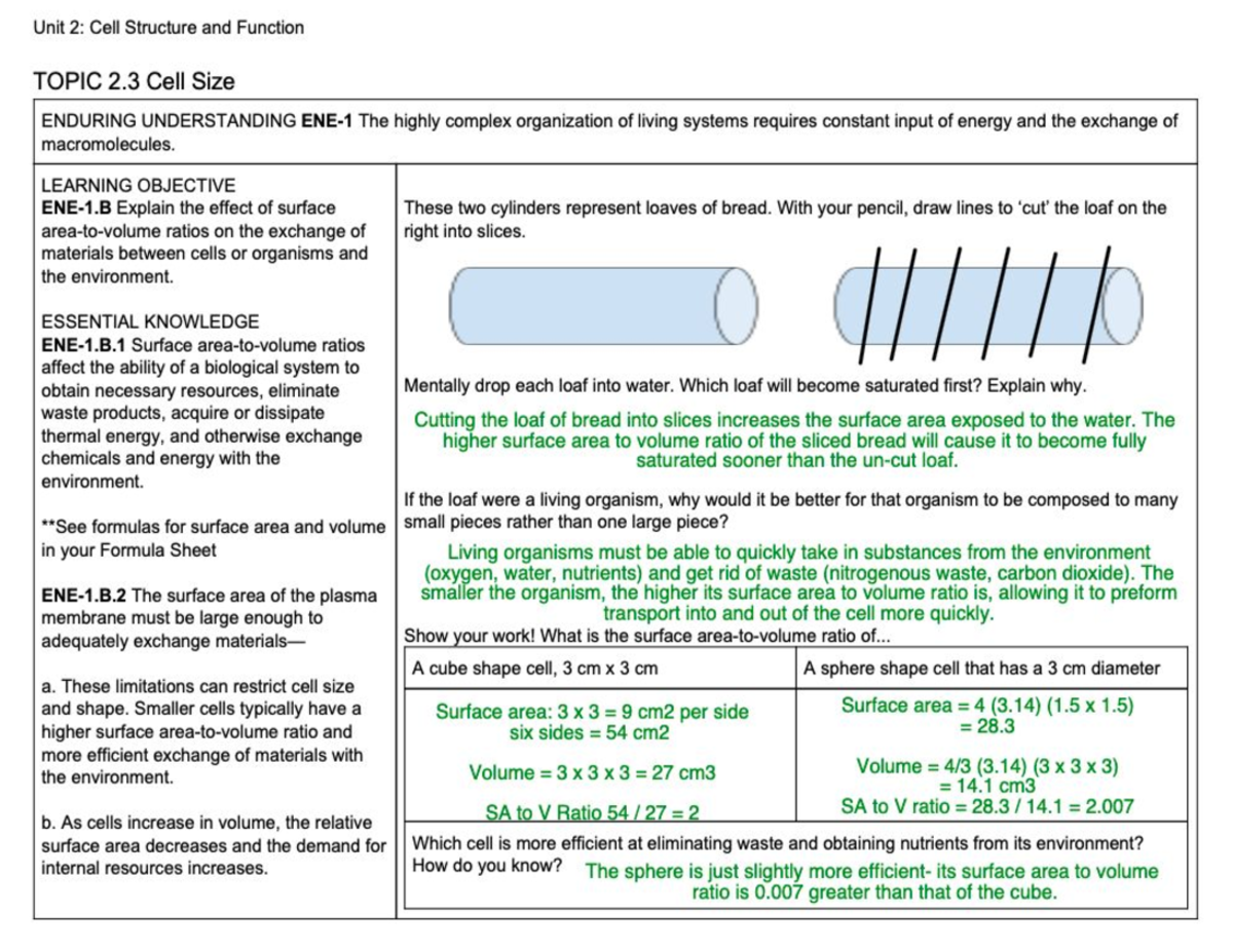 AP Biology Unit 2: Cell Structure & Function Review Guide - Studocu
