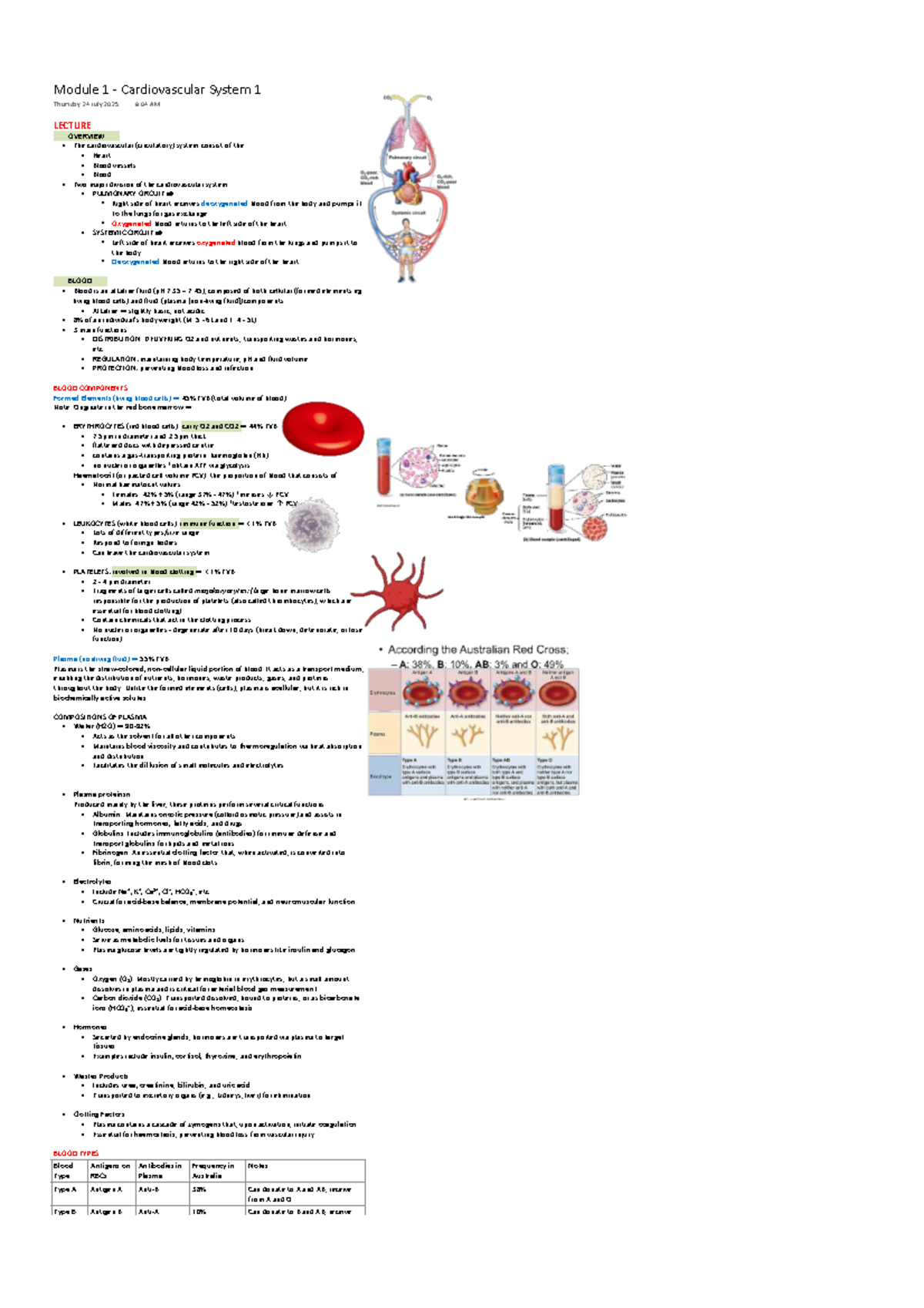 Module 1 - Cardiovascular System Lecture Notes - Studocu