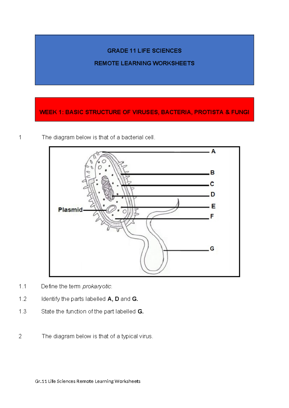Grade 11 LIFE Sciences Remote Learning Worksheets: Weeks 1-3 Overview ...