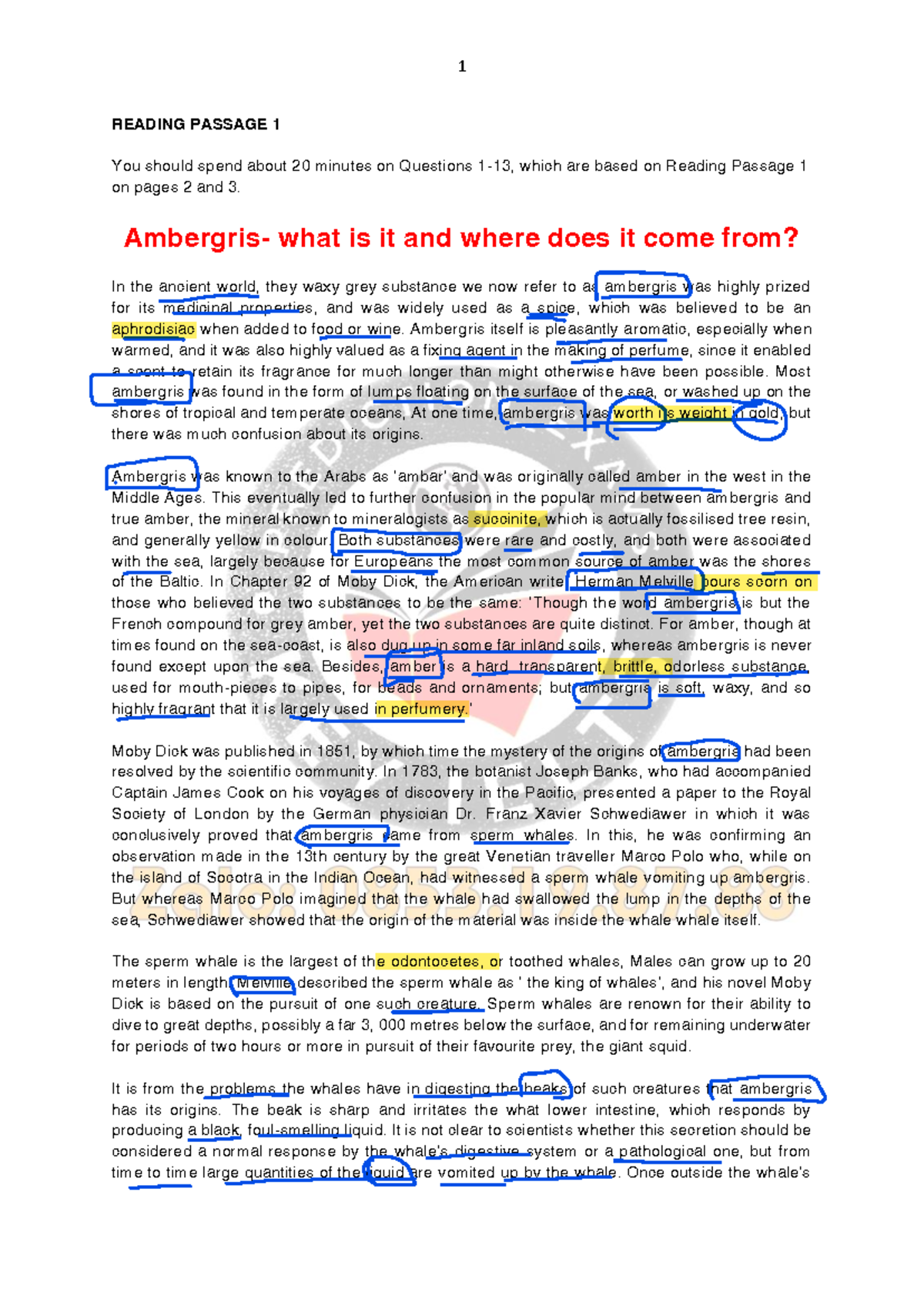IELTS Reading Passage 1: Ambergris and Its Origins - Studocu