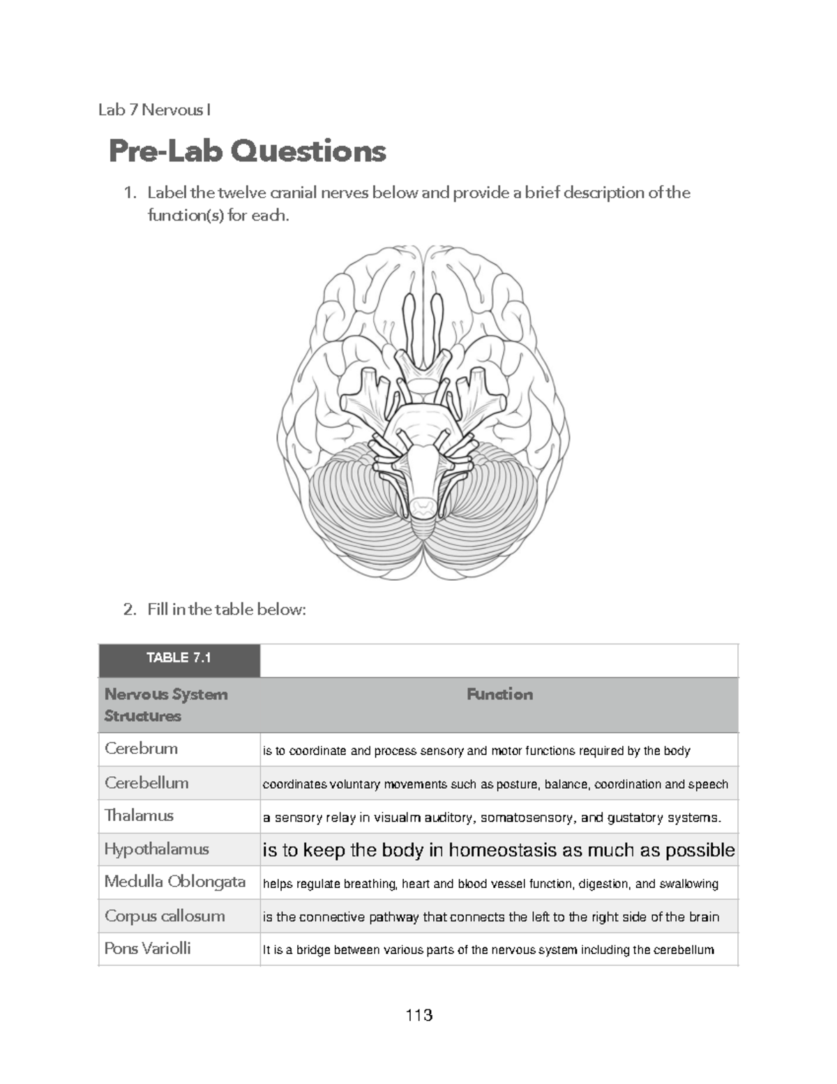 Lab Manual Lab 7 - Nervous System - Lab 7 Nervous I Pre-Lab Questions ...