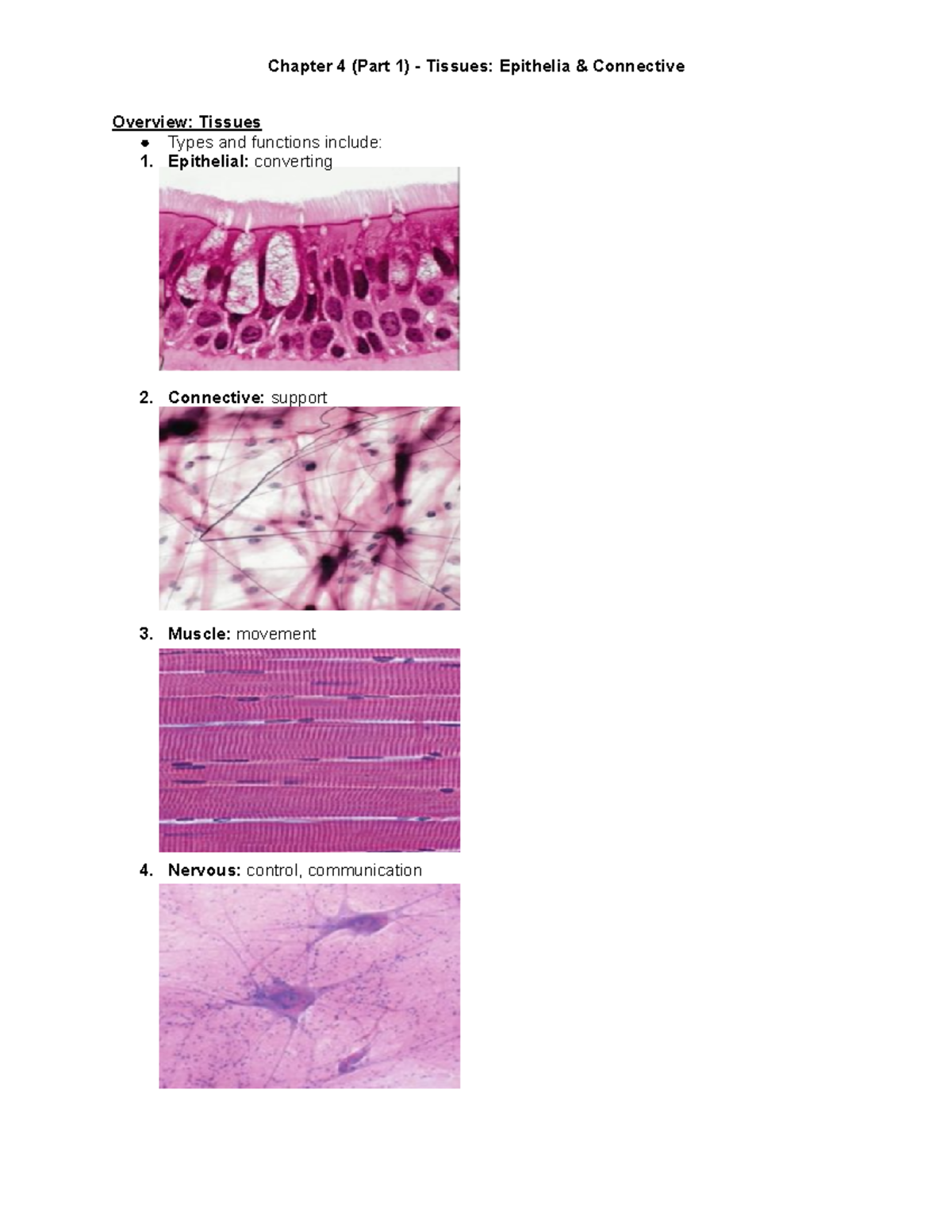 BIOL-4 Ch. 4 (Pt. 1) - Overview of Epithelial & Connective Tissues ...