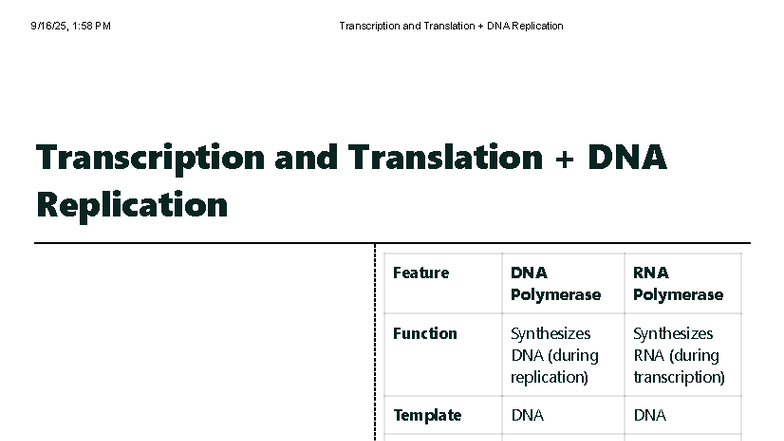 Transcription and Translation: DNA Replication Overview for TEAS - Studocu