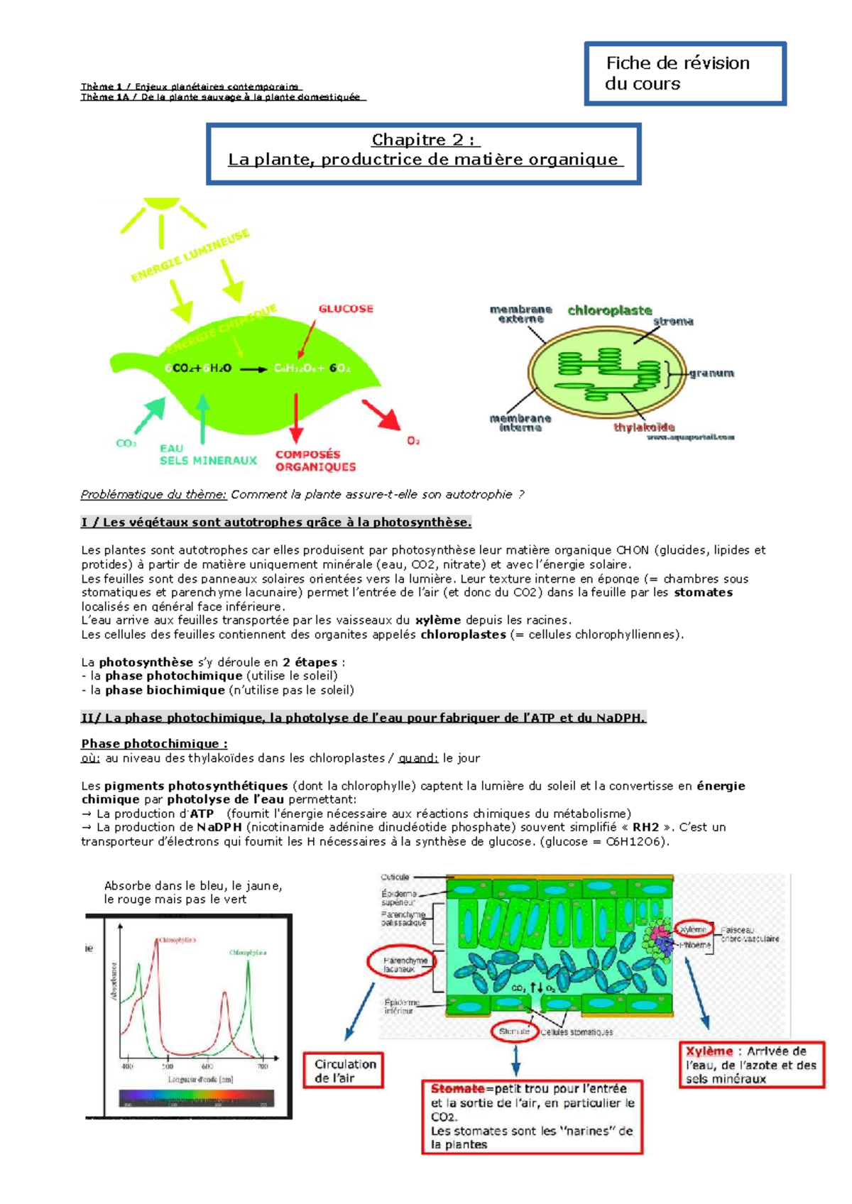 Fiche de Révision Chapitre 2 : Autotrophie des Plantes - TSPE - Studocu