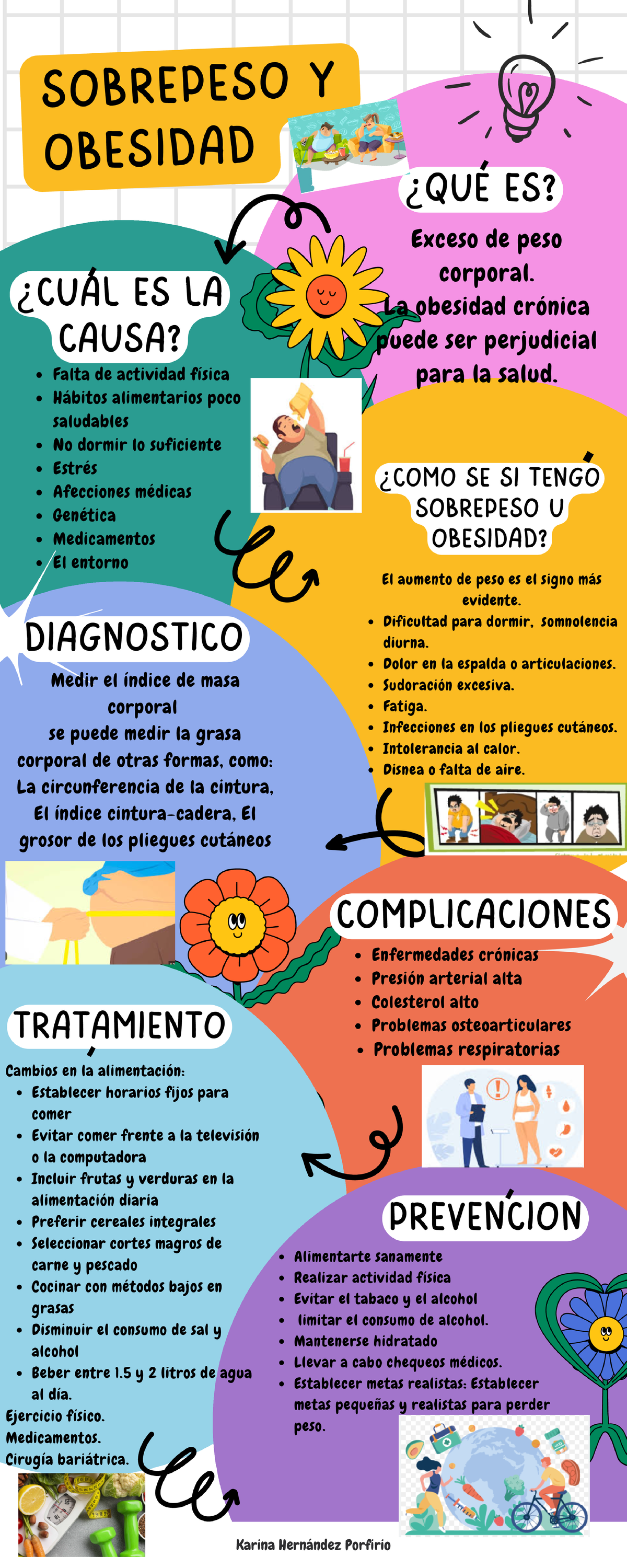 Infografía sobre el sobrepeso y la obesidad: Causas, Diagnóstico y ...
