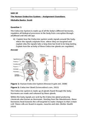 Unit 5 1 - L3AET unit3 - Level 3 Award in Education and Training Unit 5 ...